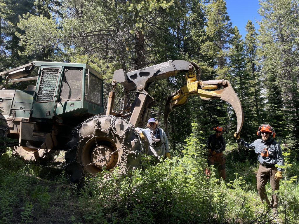 Aspen Mountain expansion proceeding on track with logging, lift ...